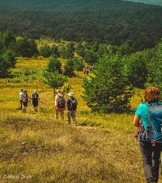 Visit Rakovica | Nordic Walking